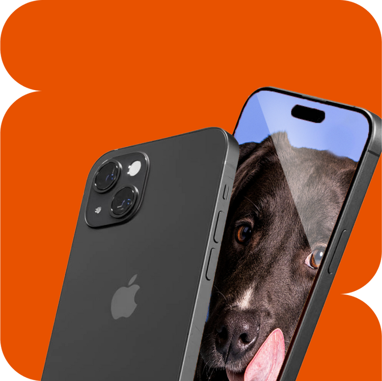 Used iPhone XR | Certified Refurbished iPhone XR | Gazelle